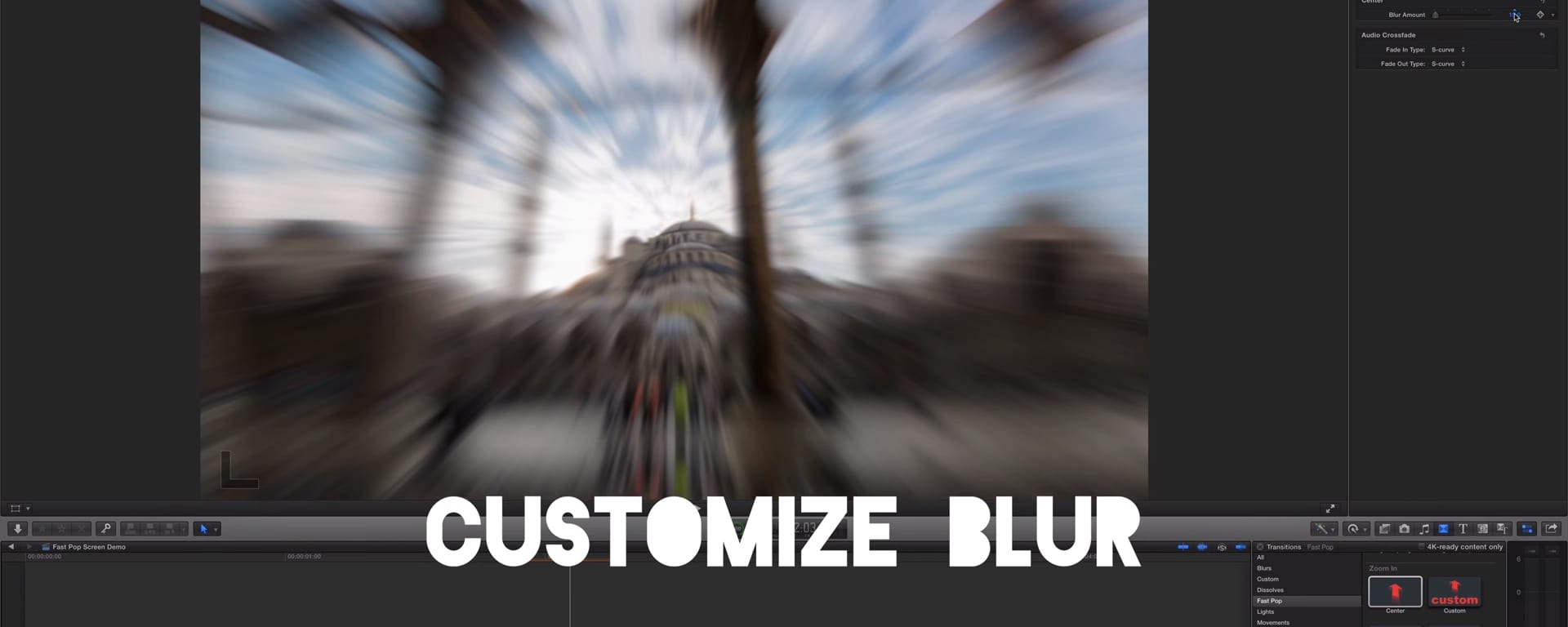 Stupid Raisins Fast Pop - フラッシュバックジャパン