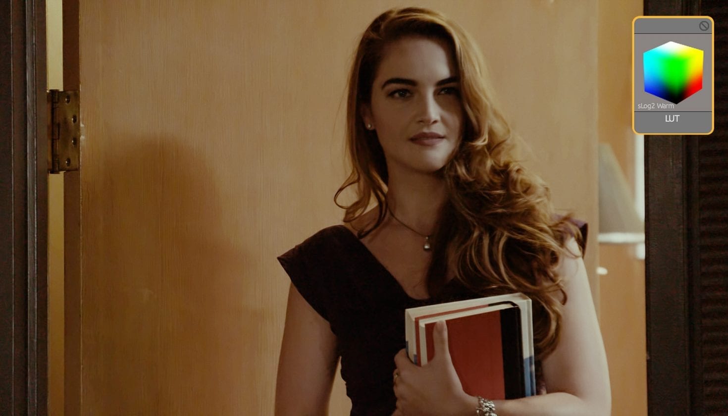 高品質カラーグレーディングプラグイン：Magic Bullet Looks 4