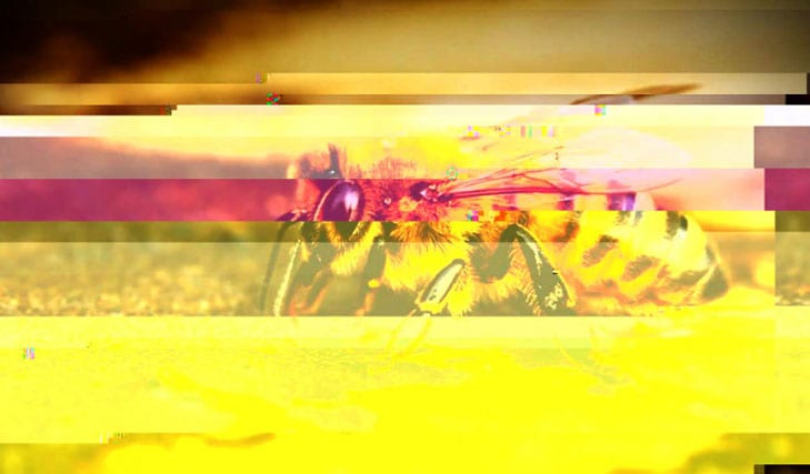 Data Glitch 2 - Flashback Japan Inc