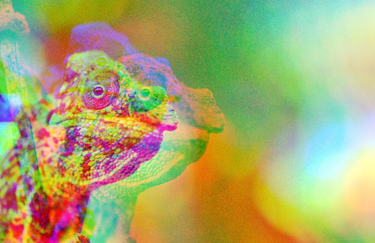 NewBlue Stylizers 5 Illuminate - Flashback Japan Inc