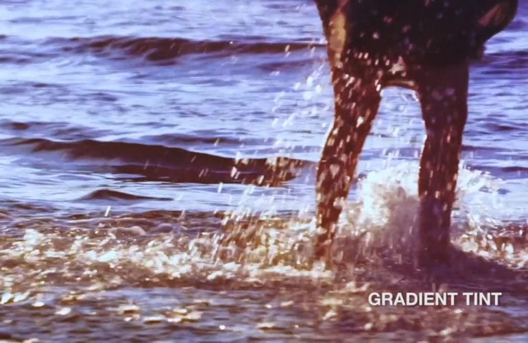 NewBlue Filters 5 Recolor - Flashback Japan Inc