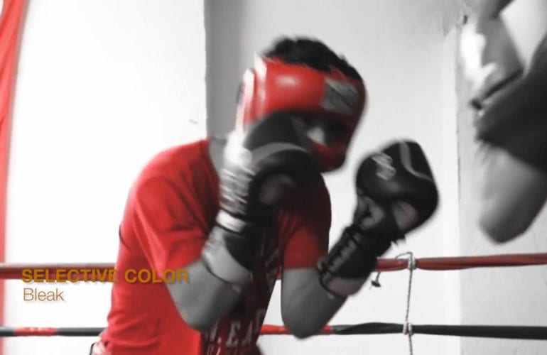 NewBlue Filters 5 Recolor - Flashback Japan Inc