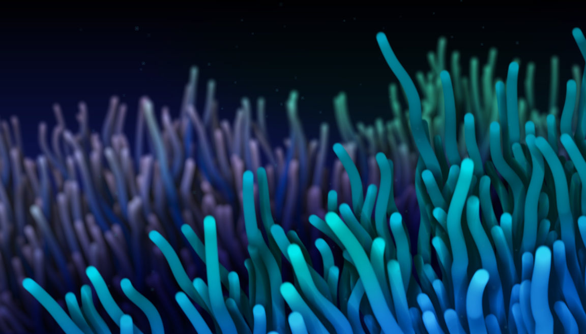 Trapcode Particular 5 - フラッシュバックジャパン