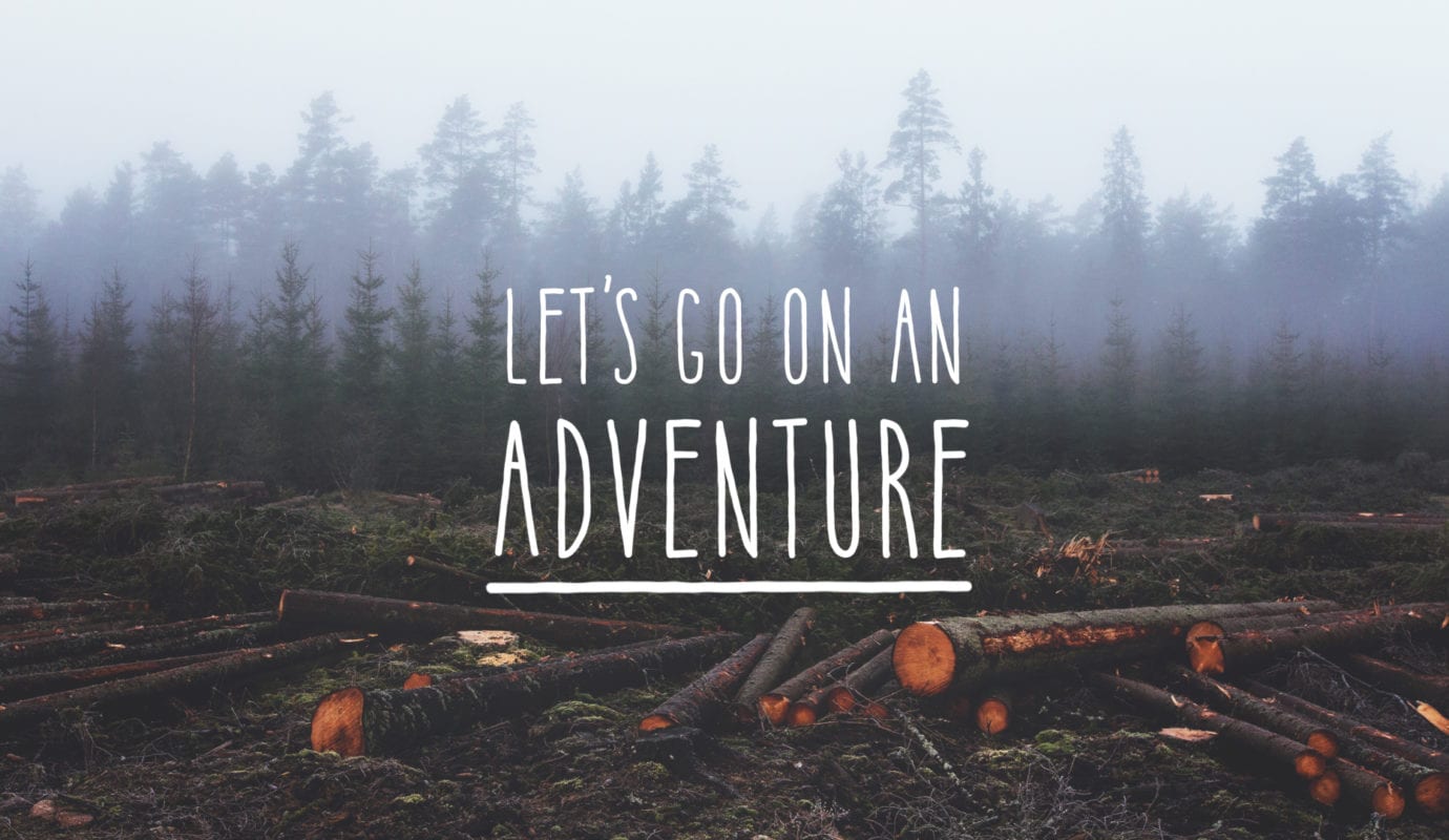 Animography Indie - Flashback Japan Inc