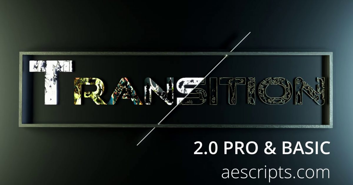 Transition Master 2 Pro - Flashback Japan Inc