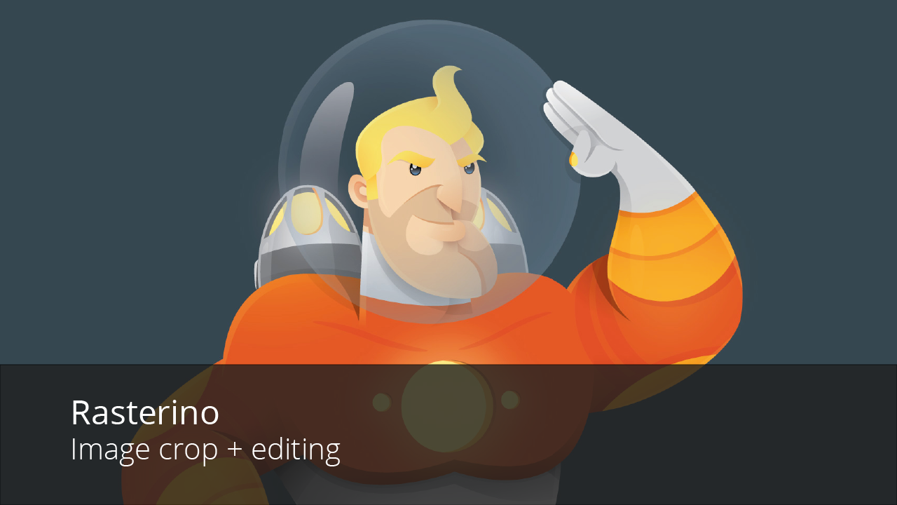 Rasterino - Flashback Japan Inc