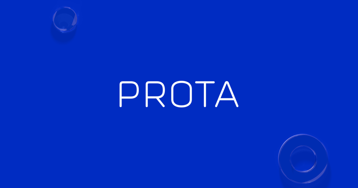 Animography Prota - Flashback Japan Inc