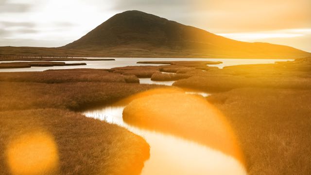 PremiumVFX Film Graphics - Flashback Japan Inc