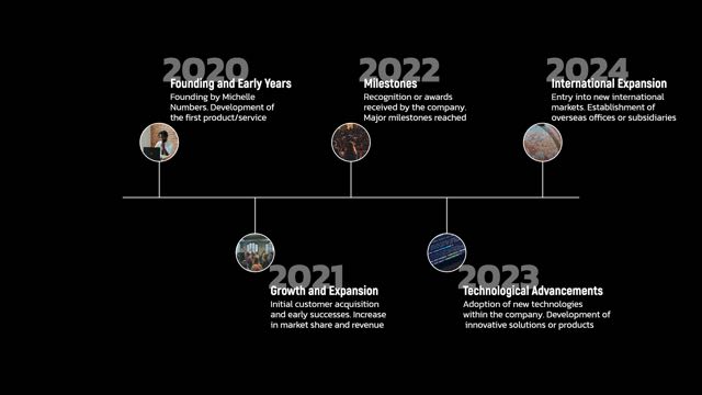 PremiumVFX Infographic Timelines - Flashback Japan Inc