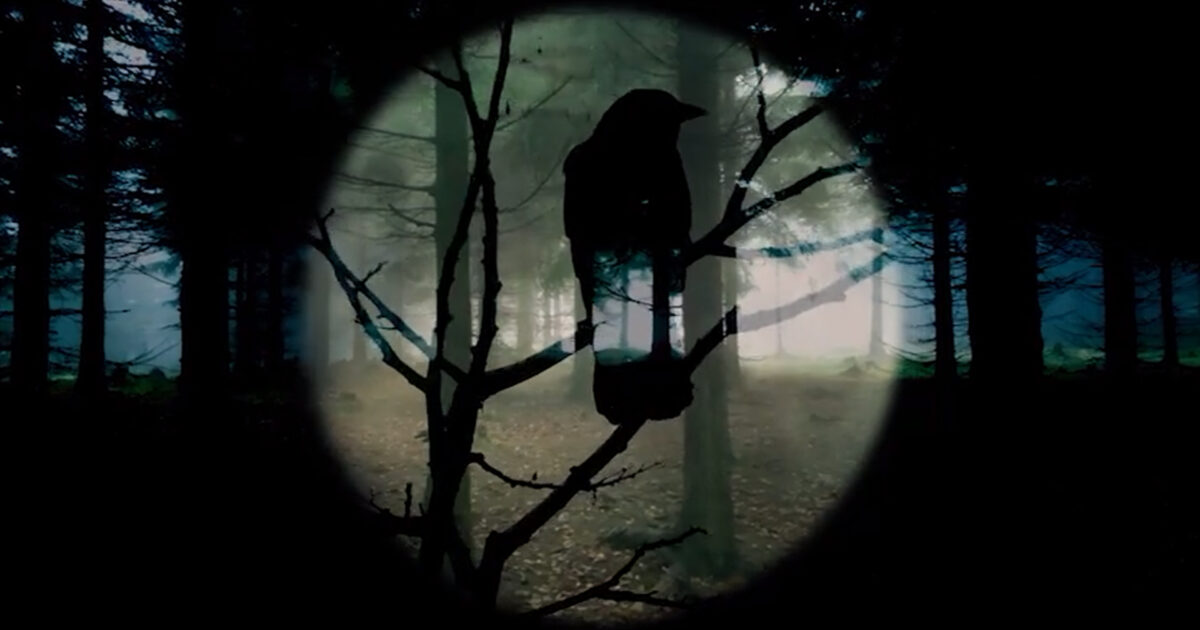 Red Giant ユーティリティ - Flashback Japan Inc