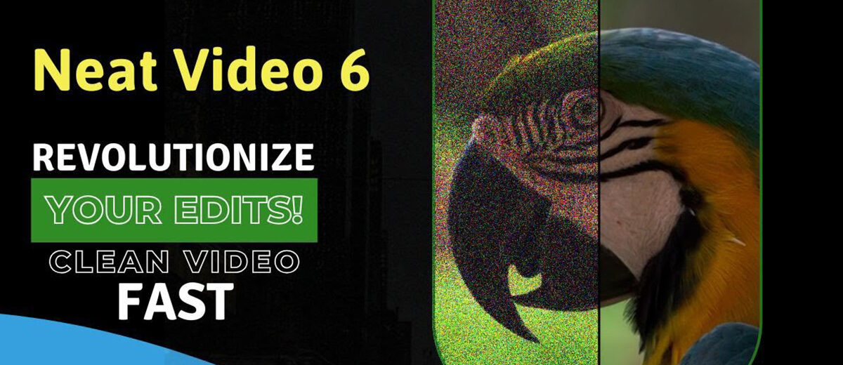 Neat Video - Flashback Japan Inc