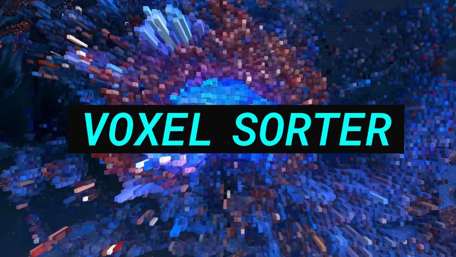 Voxel Sorter - Flashback Japan Inc
