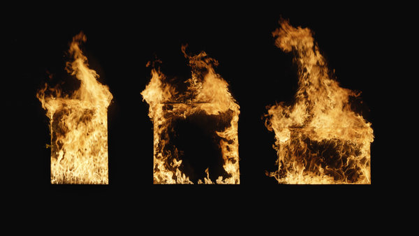 ActionVFX - Flashback Japan Inc