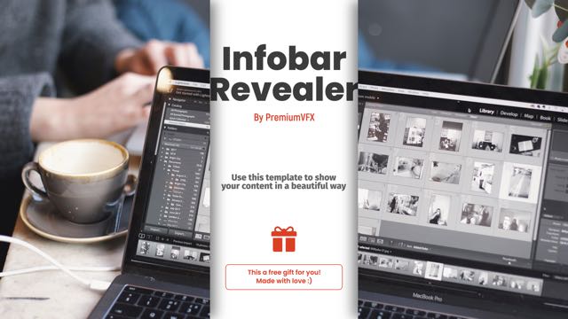 PremiumVFX InfoBar Revealers - Flashback Japan Inc