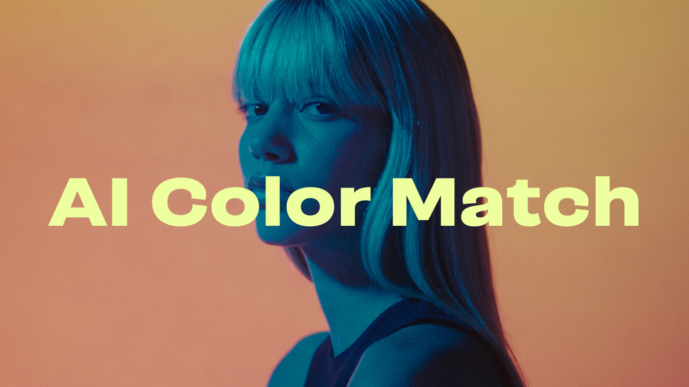 AI Color Match - Flashback Japan Inc