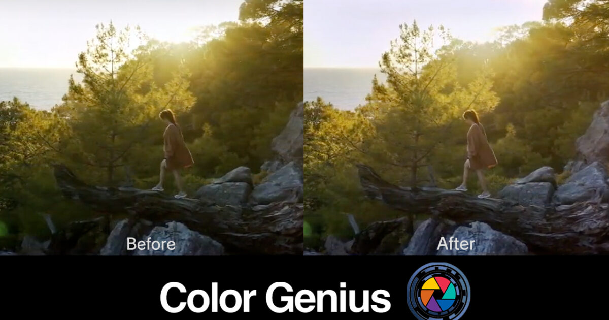 Color Genius - Flashback Japan Inc