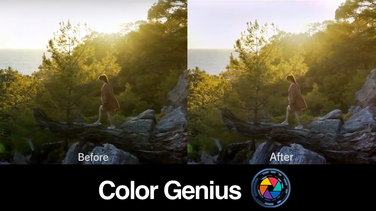 Color Genius - Flashback Japan Inc