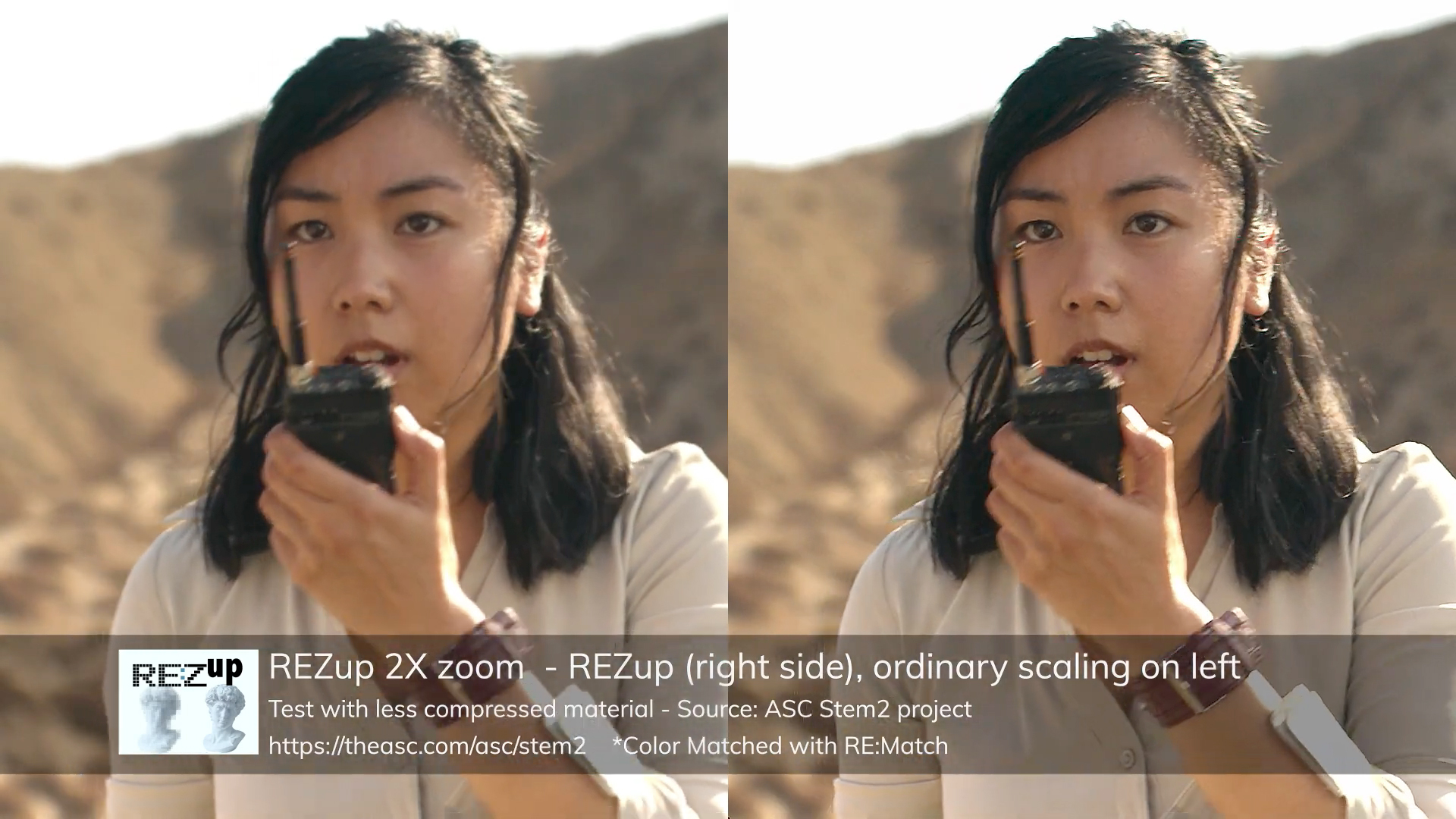 RE:Vision Effects - フラッシュバックジャパン