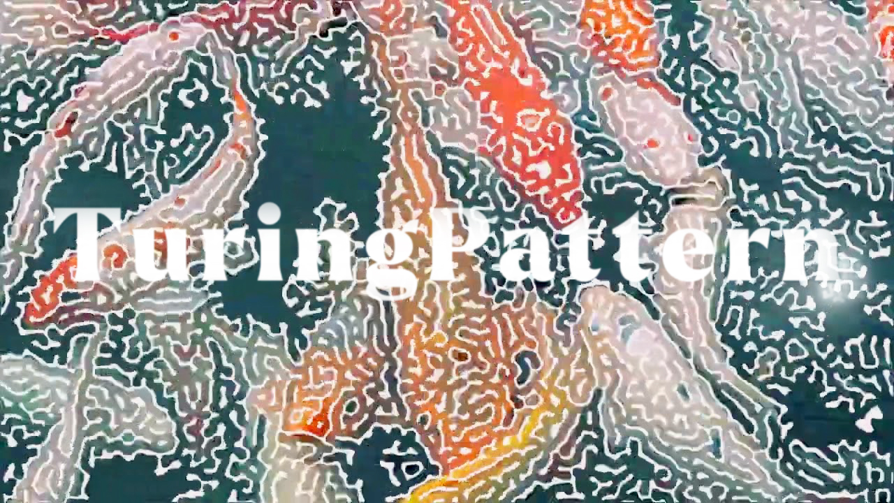 Turing Pattern - Flashback Japan Inc