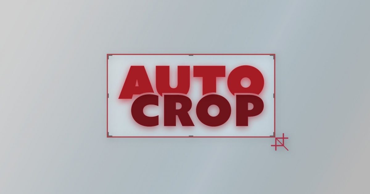 Auto Crop 3 - Flashback Japan Inc